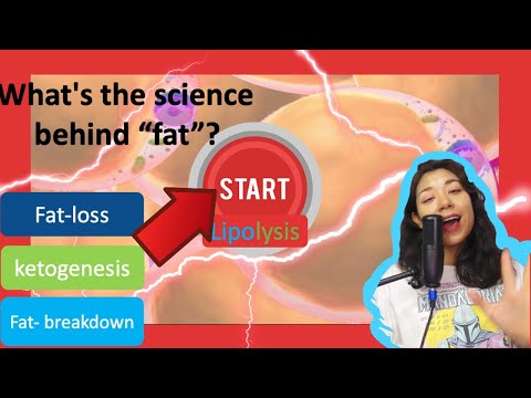 Science behind fat