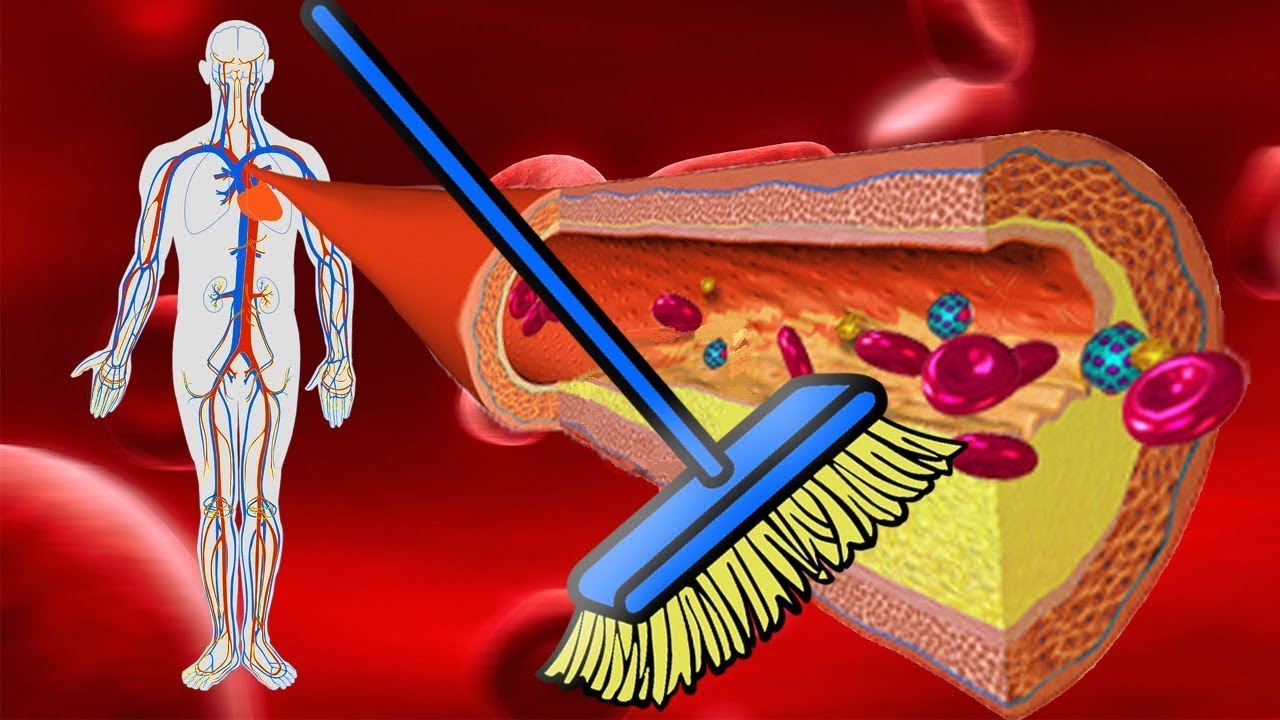 11 ALIMENTOS RICOS EN COLESTEROL: CUÁLES COMER Y EVITAR