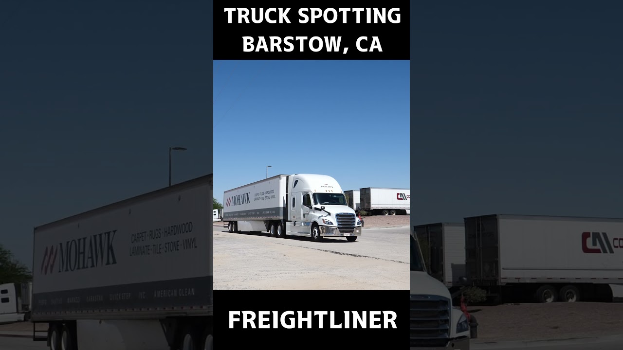 TRUCK SPOTTING #00199 / FREIGHTLINER #semitrailer #trucking #freightliner