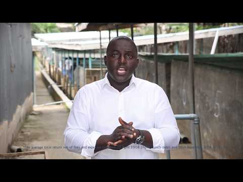 FBN Heritage Fund - Meet Tamuno