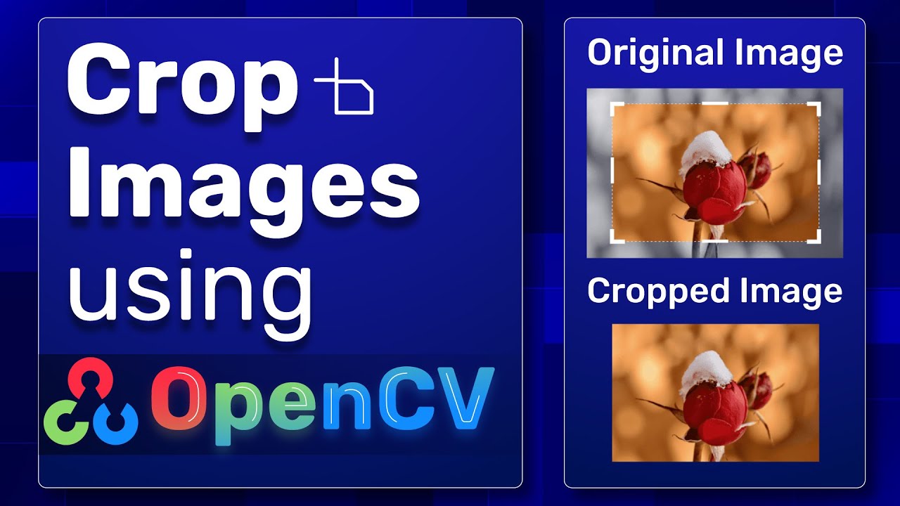 Crop Images Like a Pro in OpenCV - Tutorial