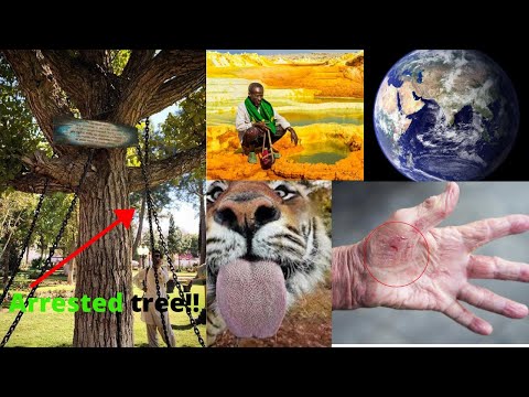 Who named our earth ?? our fingers get wrinkly in water !!