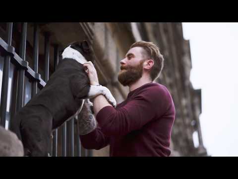 Le Pull L'Exception - Made in Venise