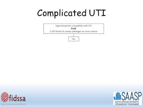 13 UTI