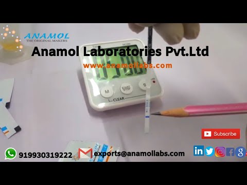HCG Pregnancy Test Strip Procedure and Performance English