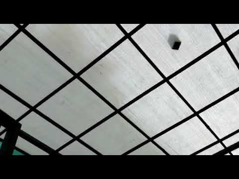 Fiber Shed - FRP Weather Shed Latest Price, Manufacturers & Suppliers