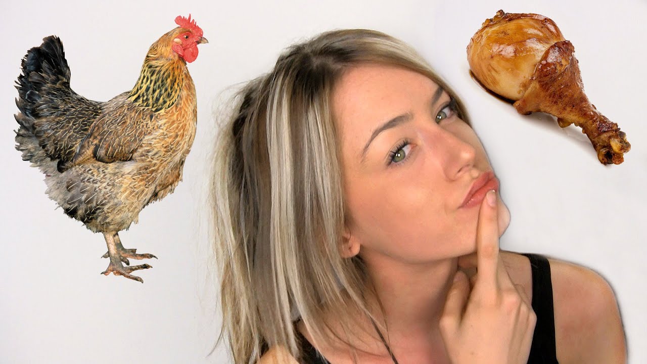 Zootehnie - despre pasari | Vegan în România