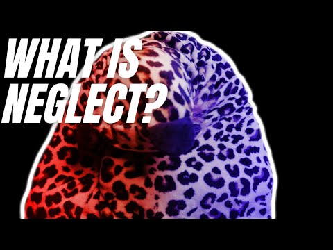 What is Neglect? (Examples and effects)