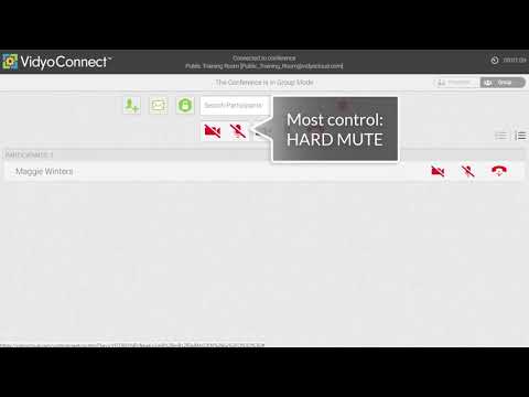 VidyoConnect: How to Manage and Control My Video Meeting