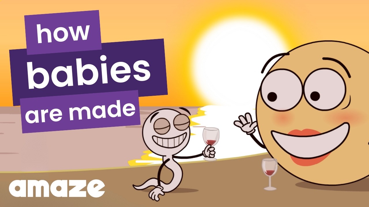 Pregnancy and Reproduction Explained