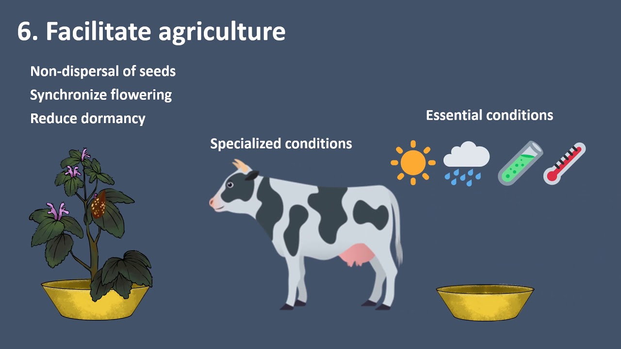 Conventional 1   Objectives of plant breeding