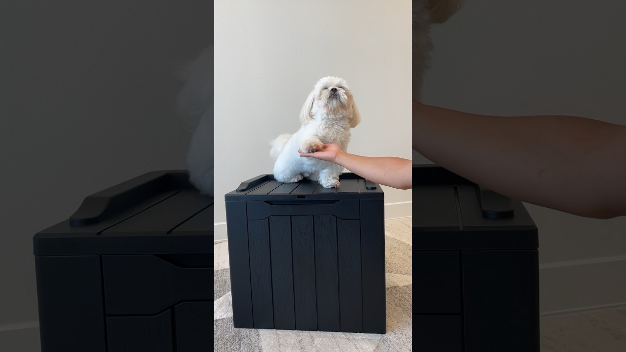 Quick Assembly Demo: Modern Deck Patio Box from Amazon #PatioBoxAssembly #DeckStorage #DIYFurniture