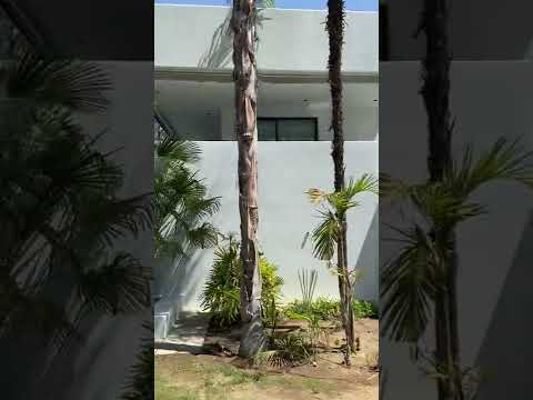 Window Cleaning in Fresno, CA - Mountain View Window Cleaning