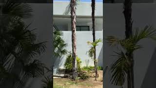 3 Best Window Cleaners in Fresno, CA - Expert Recommendations