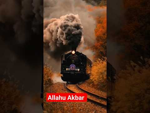 quran translation in urduquran translation in urdu pdf