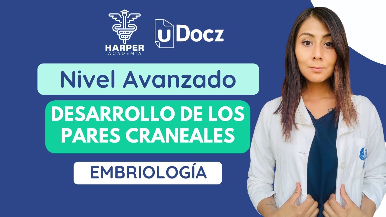 Desarrollo de los Pares Craneales con Harper Academia & uDocz📚| Nivel Avanzado