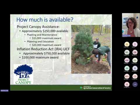 2024 Project Canopy Grant Application Overview - February 28, 2024