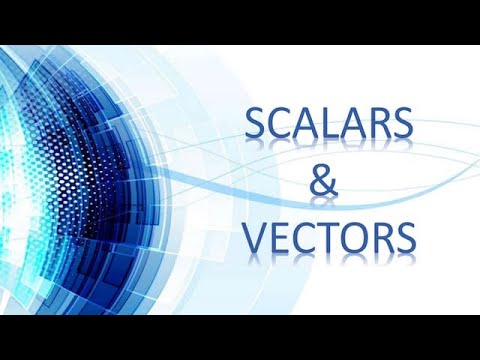 Scalar and Vector Quantities Explained | Understanding Magnitude, Direction, & Cartesian Coordinates