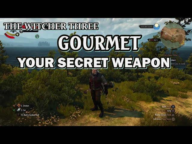 5 essential skills to unlock in early game for The Witcher 3 Next-Gen