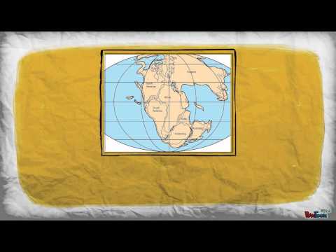 Greek & Latin Roots NOV, OCT, ONYM, PAN, PATHY