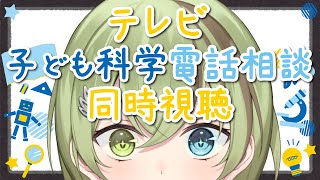 [Vtub] VEE Official 時間表 2024/12/23 - PTT評價