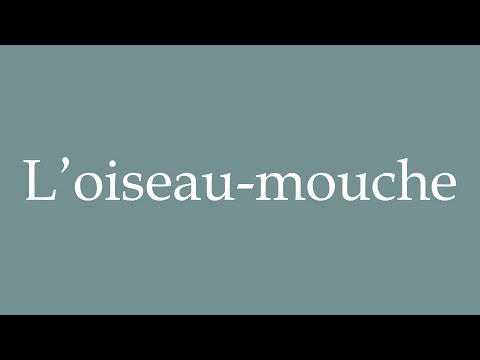 How to Pronounce ''L'oiseau-mouche'' (The hummingbird) Correctly in French