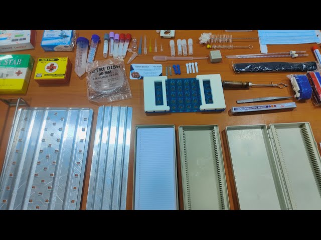 Laboratory Plasticware - Embedding Cassettes Molds Manufacturer from Delhi