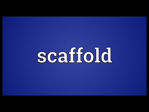 Scaffold Meaning
