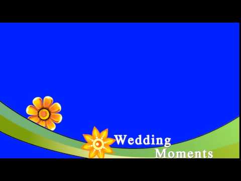 Wedding HD Green Sceen Effects // chroma footage hd free download,