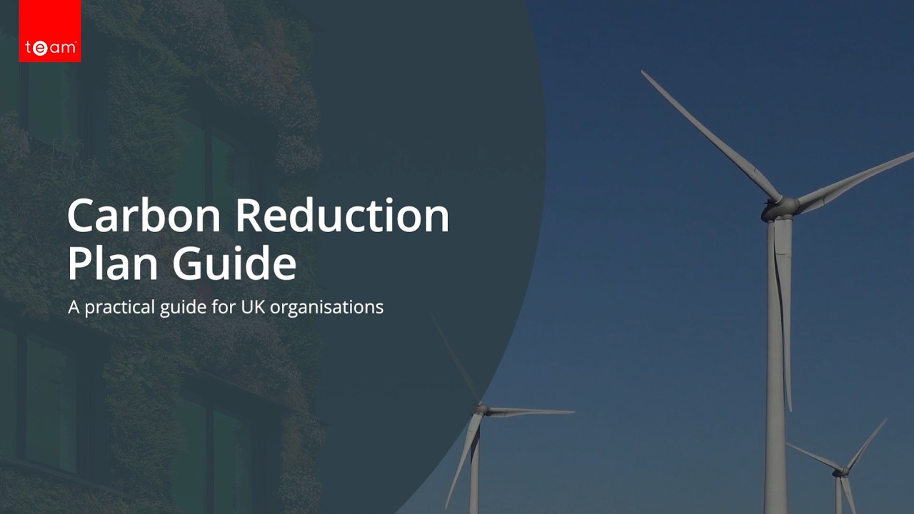How to Create a Carbon Reduction Plan: A Step-by-Step Guide for Organisations