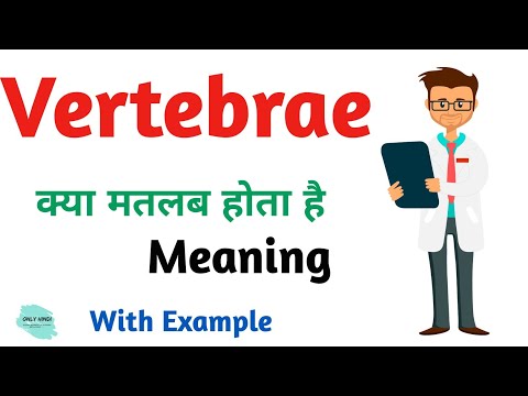 Vertebrae meaning in hindi | Vertebrae Ka Kya Matlab hota hai | Daily use English words