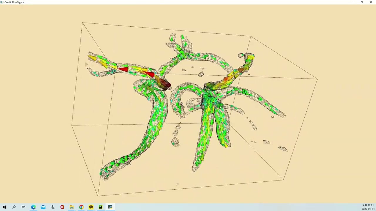 VTK Python Example - CarotidFlowGlyphs