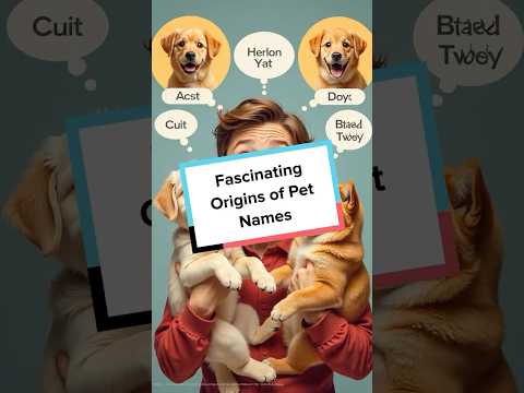 The Spanish Word for Dog: 'Perro' and Its Latin Origins 🐾 #LanguageFacts