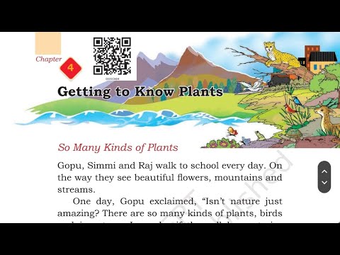 Getting To Know Plants Video Lecture - EVS Class 3: The World around us ...