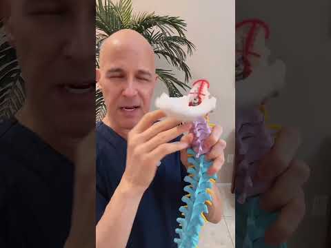 Occipital Release for Neck Pain & Headache! Dr. Mandell