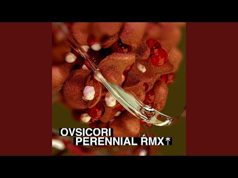 Pejibayes (Rich Costa Remix)