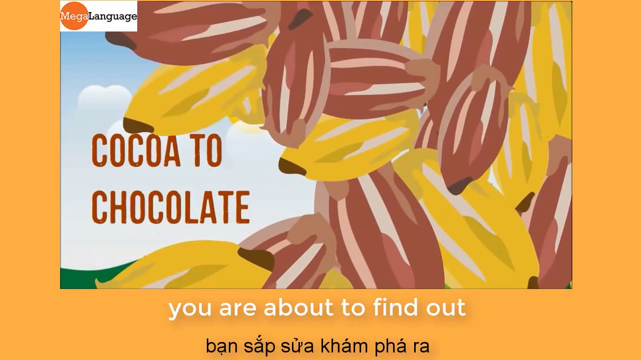 Process of making chocolate - IELTS Writing task 1 Process - MEGALANGUAGE