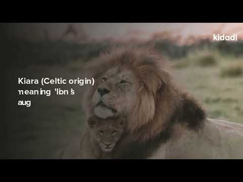 Top Names Meaning Lion For The Newest Member Of Your Pride