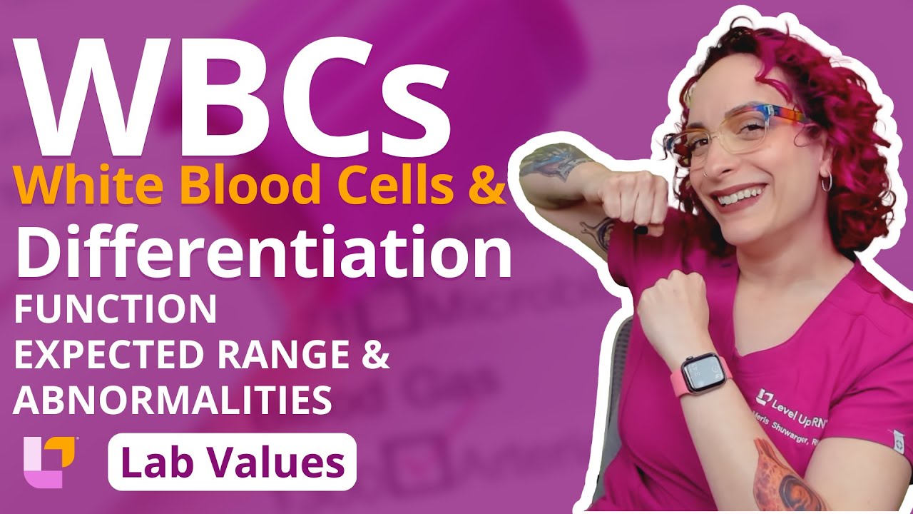 White Blood Cells (WBCs) & Differentiation: Adult Lab Values,  Nursing students | @LevelUpRN