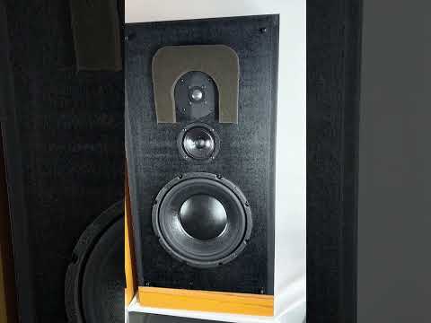 Audio Concepts, Inc. (ACI) G2 High Performance Speakers | Reverb