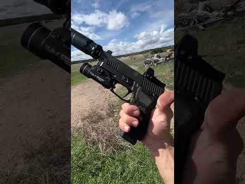 Suppressed Sig P229 Legion SAO