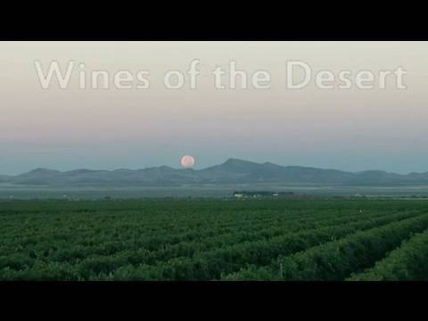 WEBISODE | Wines Of The Desert | New Mexico PBS