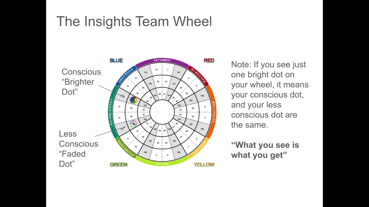 Insights Discovery Review