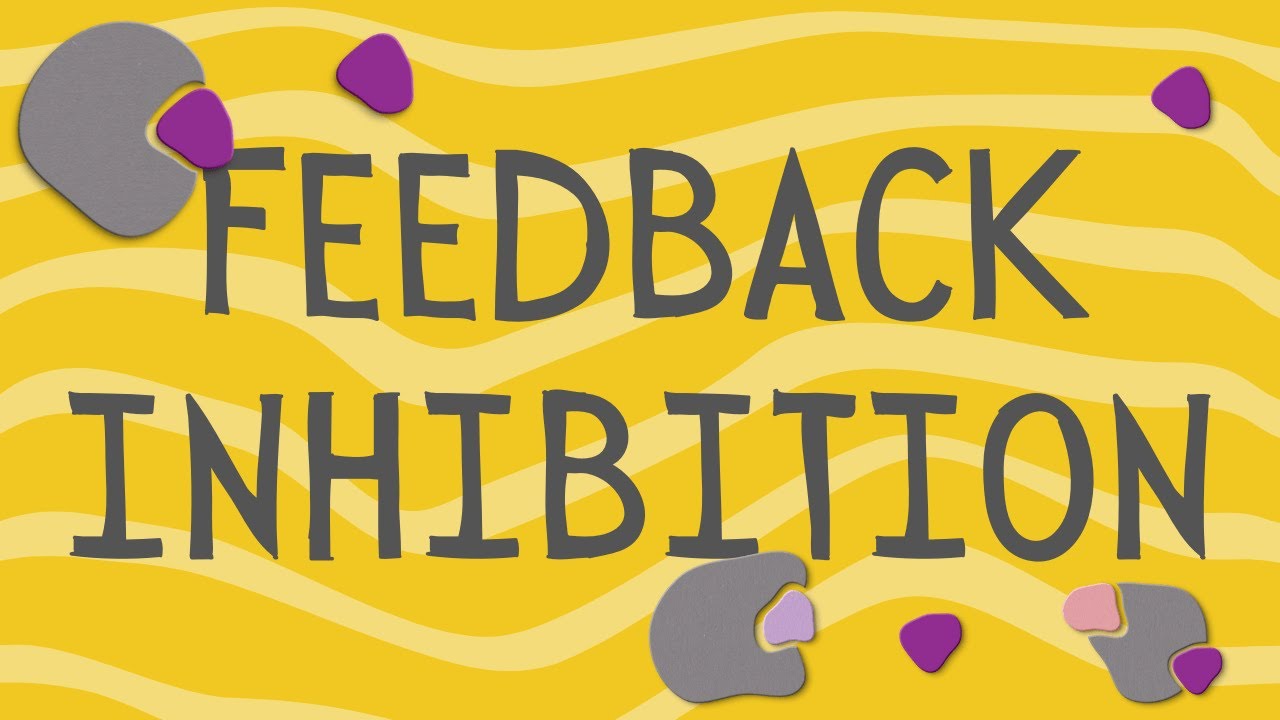 What is feedback inhibition?