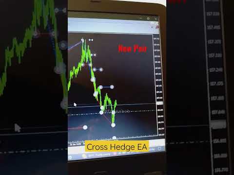 Cross Hedge EA | 100% win Hedging Strategy | Win both side #ytshorts #forex #finance #reels #tiktok