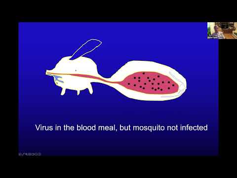 Rift Valley Fever Webinar