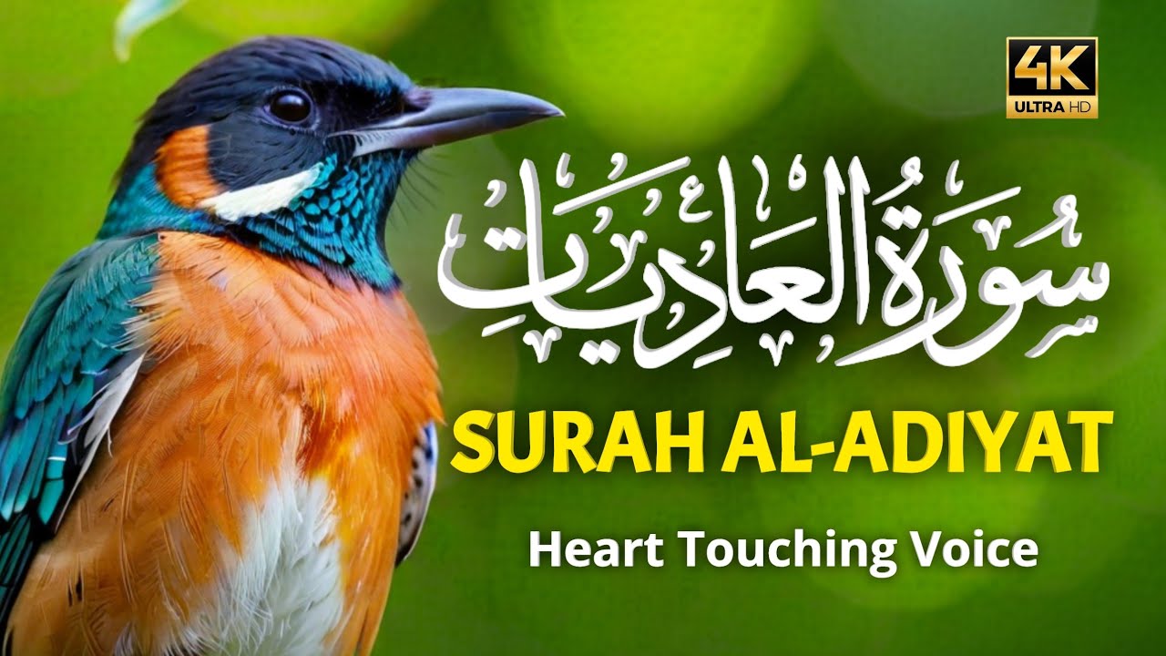 Surah Al Adiyat سورة العاديات Surah Adiyat Beautiful Recitation Surah 100