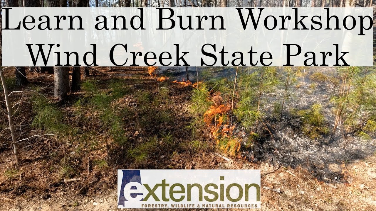 Prescribed Fire: Learn and Burn Workshop Wind Creek State Park