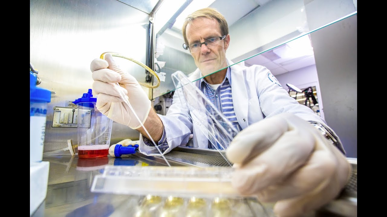 Stem Cell Biologist Lorenz Studer, 2015 MacArthur Fellow