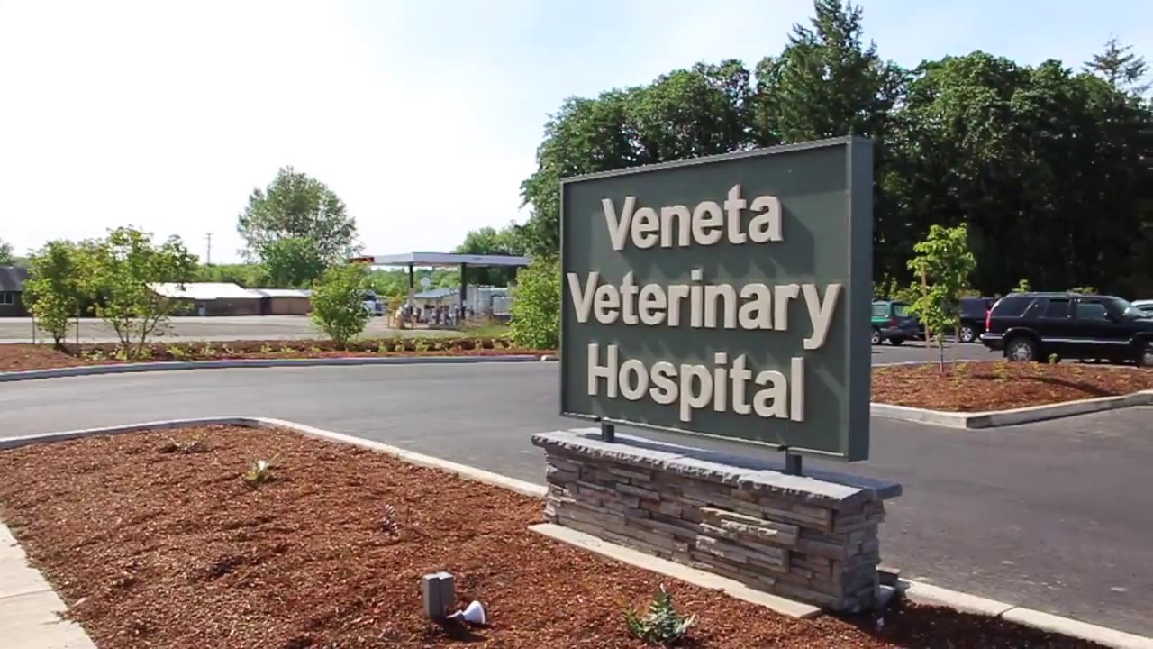 Veneta Veterinary Clinic Tour